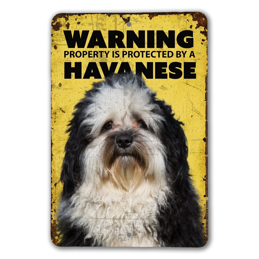 Warning Havanese Sign | Dog Warning Sign | Havanese Sign - Etsy
