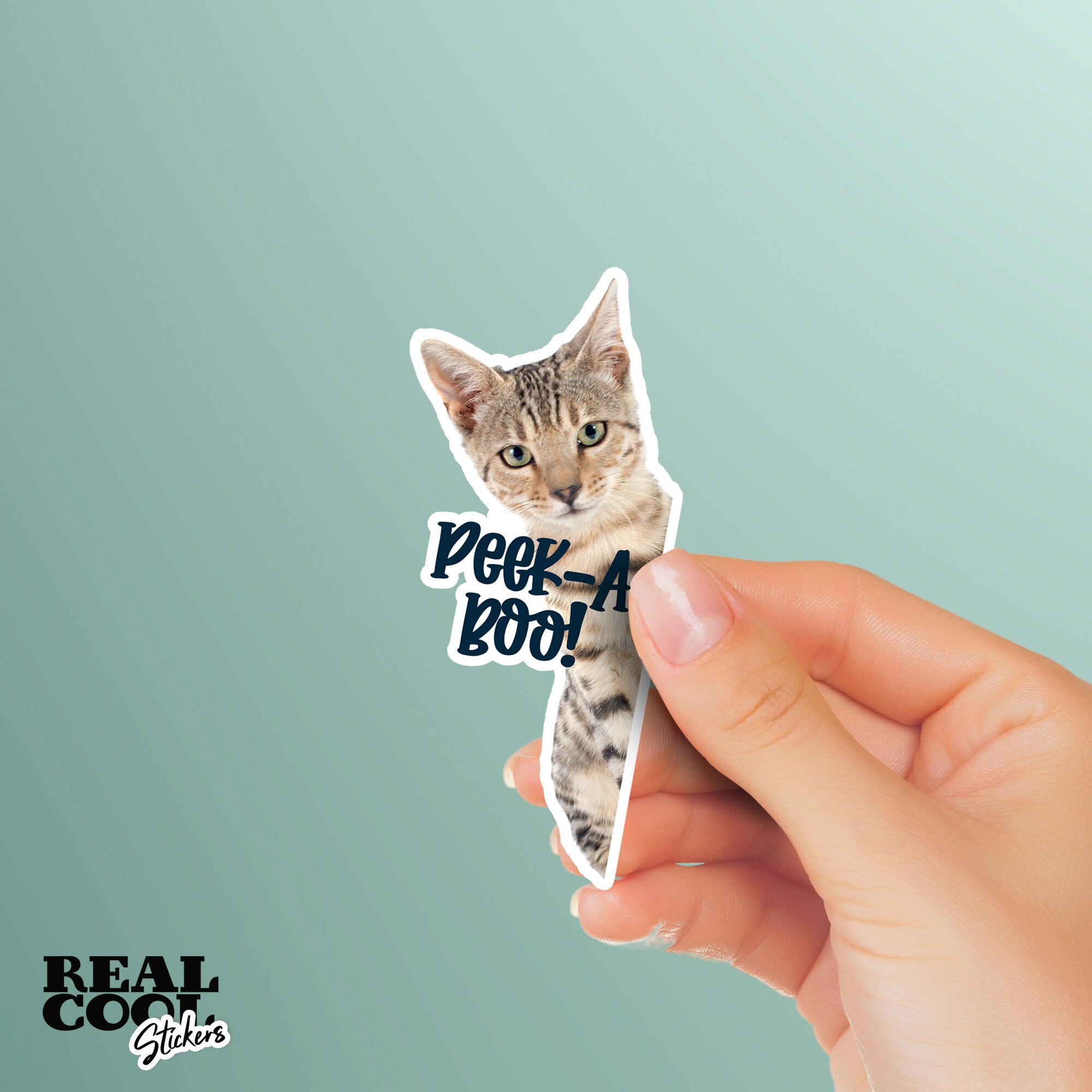 Peeking Cat Sticker Cat Stickers Peek-A-Boo Sticker | Etsy