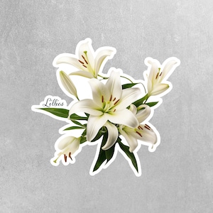 Lily Sticker | Lillies Sticker | Flower Stickers - Etsy