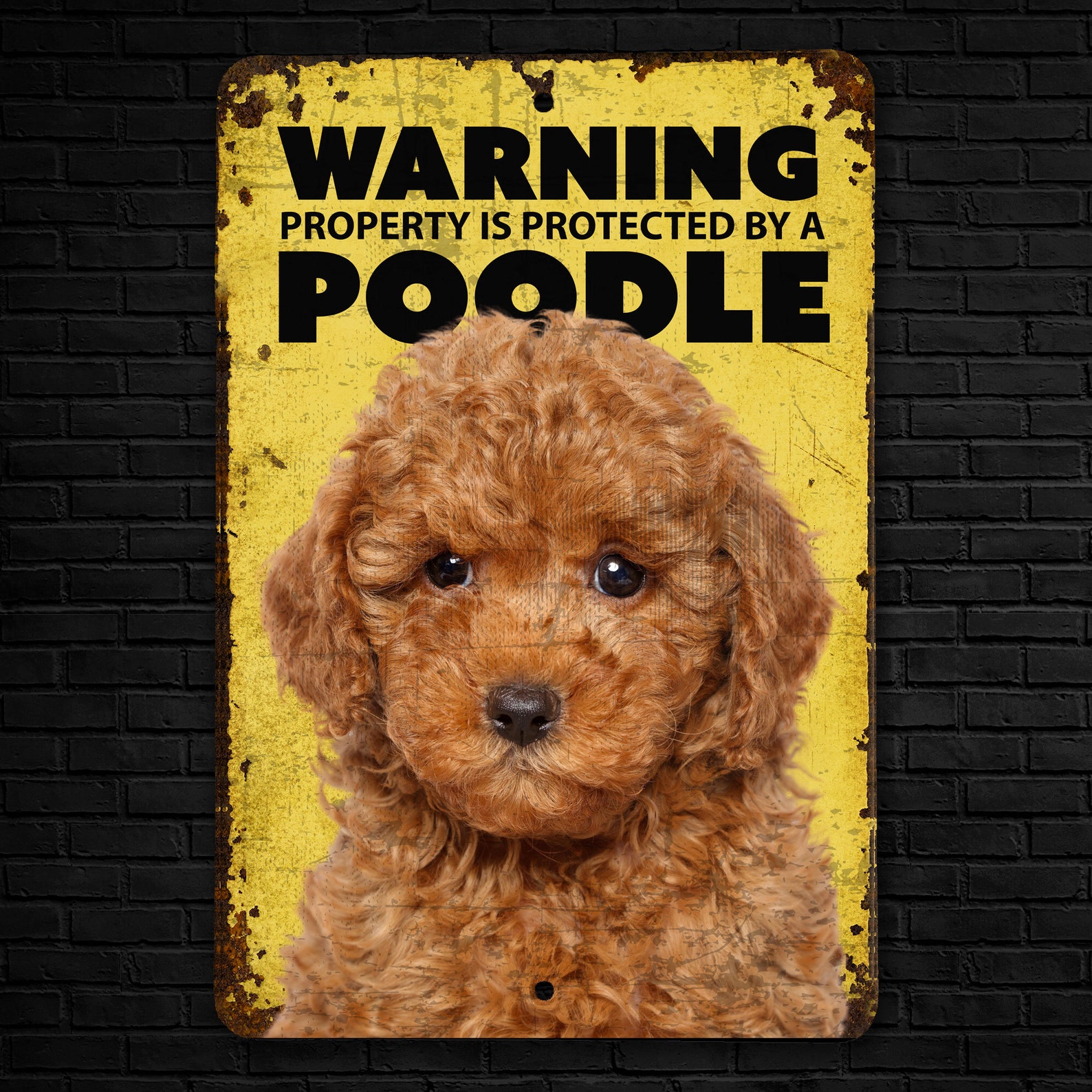 Warning Poodle Sign Dog Warning Sign Pet Poodle Sign - Etsy