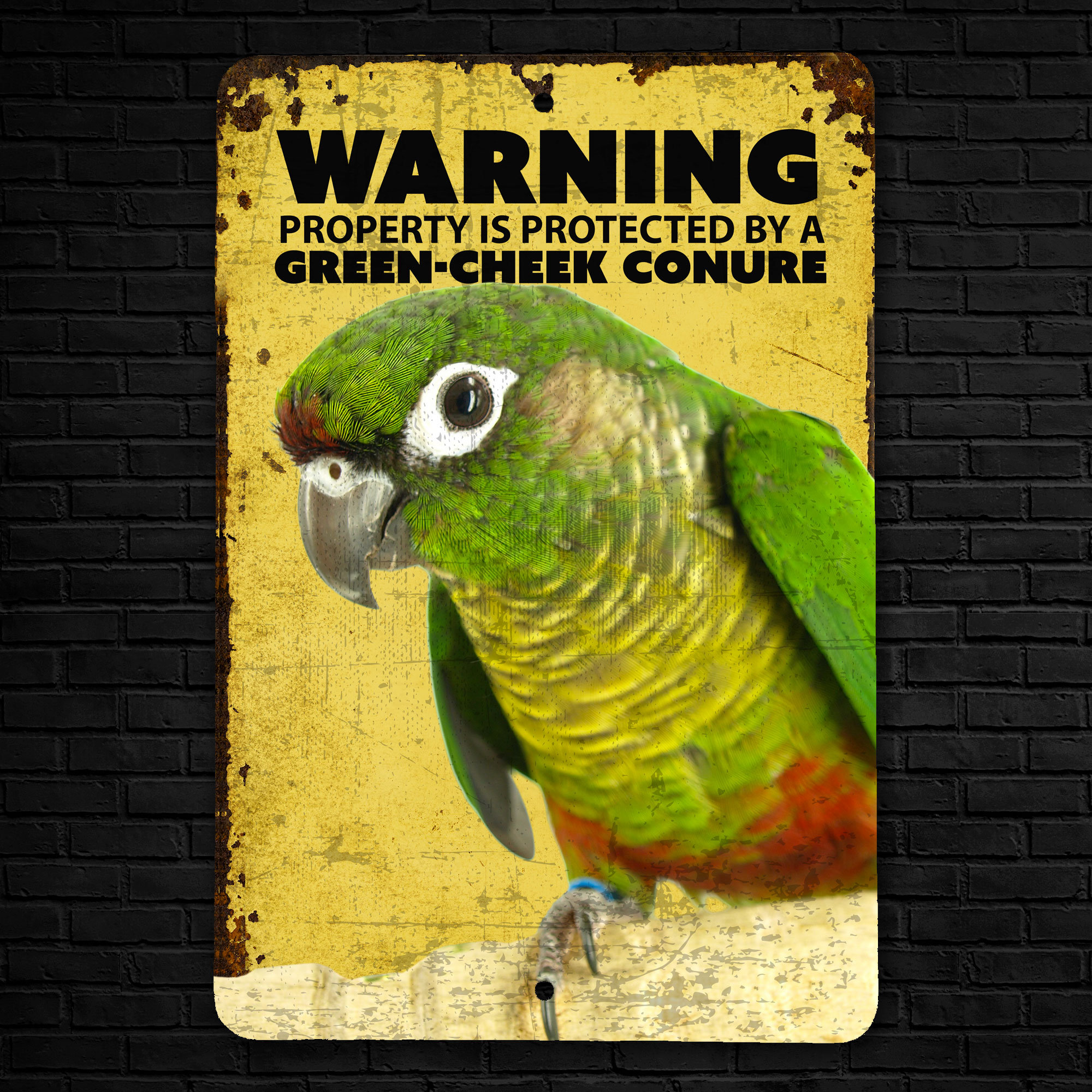 Warning Green Cheek Conure Sign | Parrot Warning Sign | Green Cheek ...