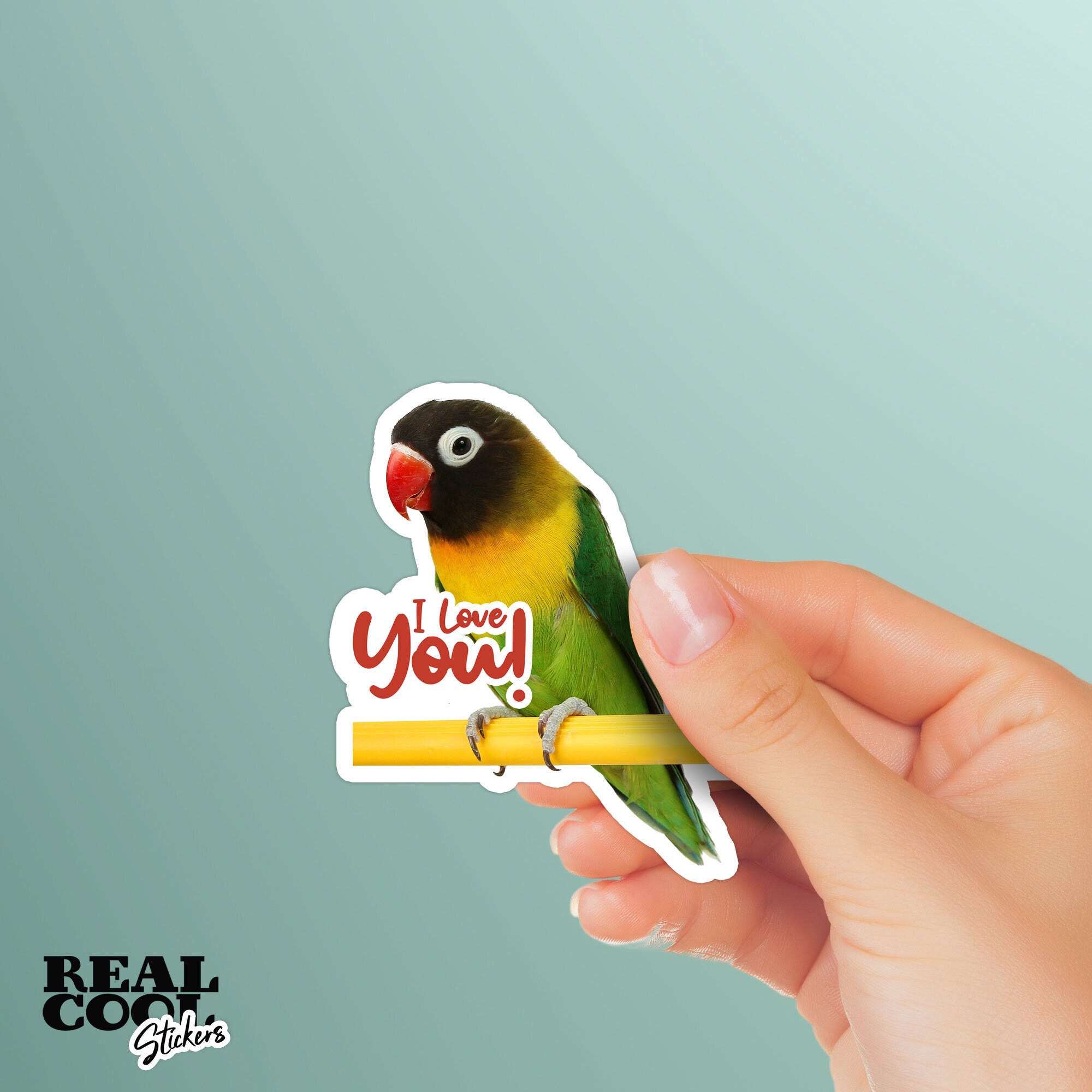 Love Bird Sticker I Love You Bird Parrot Stickers | Etsy