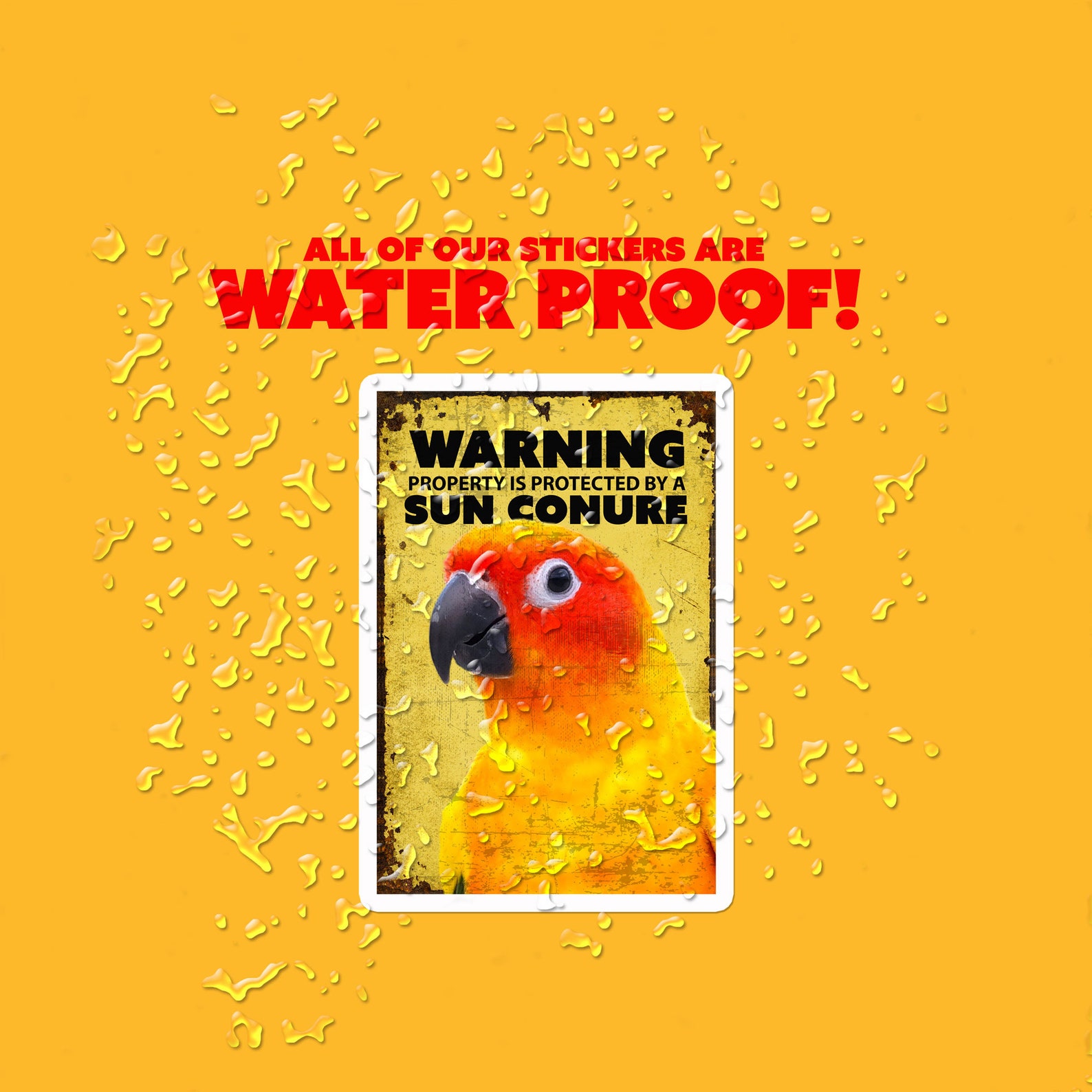 Sun Conure Sticker | Sun Conure Sticker | Warning Sun Conure Sticker - Etsy