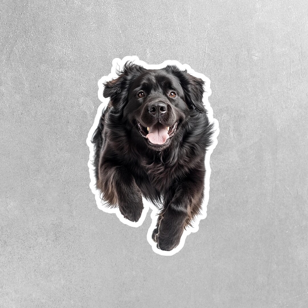 Newfoundland Dog Running Sticker - Newfoundland Decal for Water Bottles ...