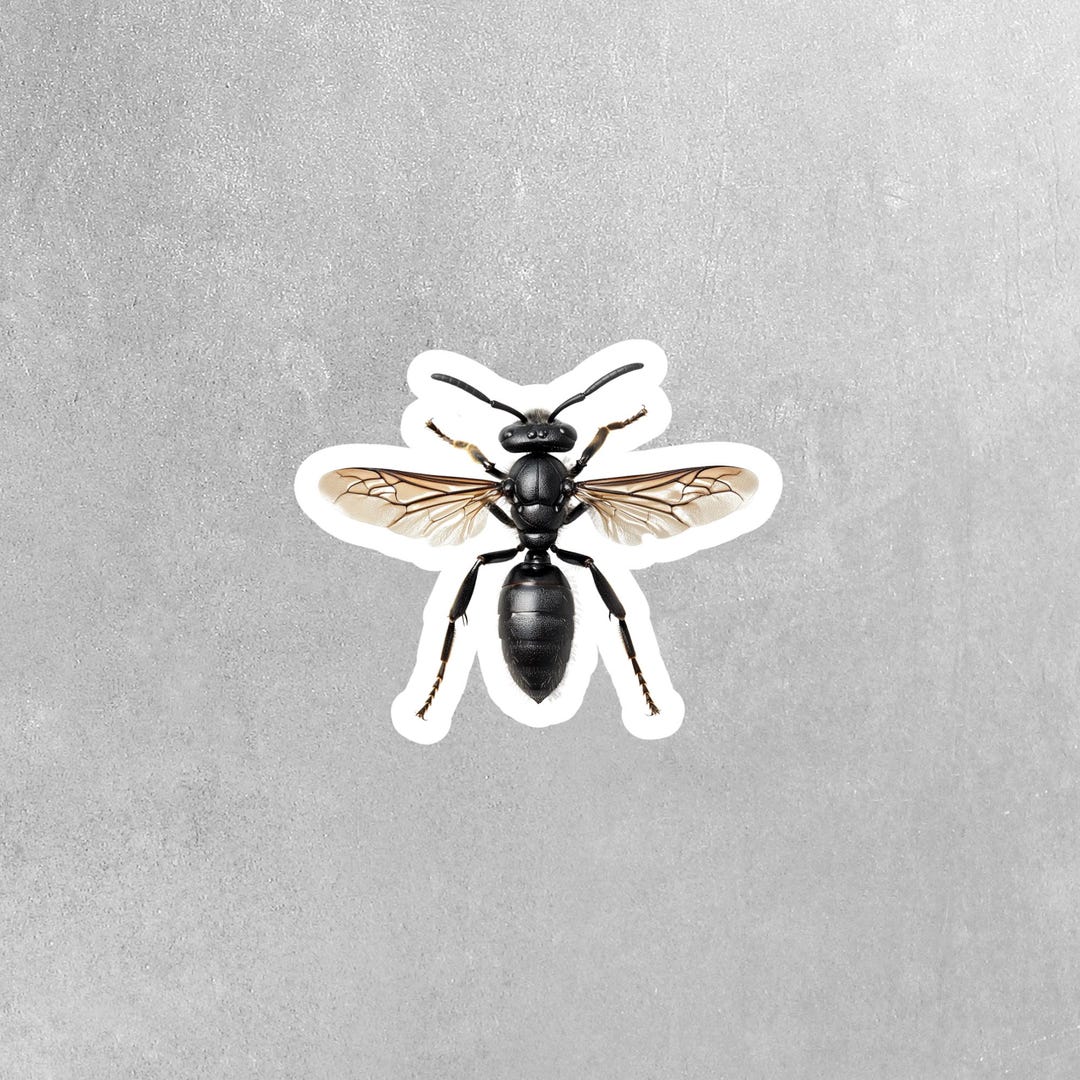 Black Wasp Sticker | Wasp Sticker | Wasp Decal | Insect Sticker - Etsy