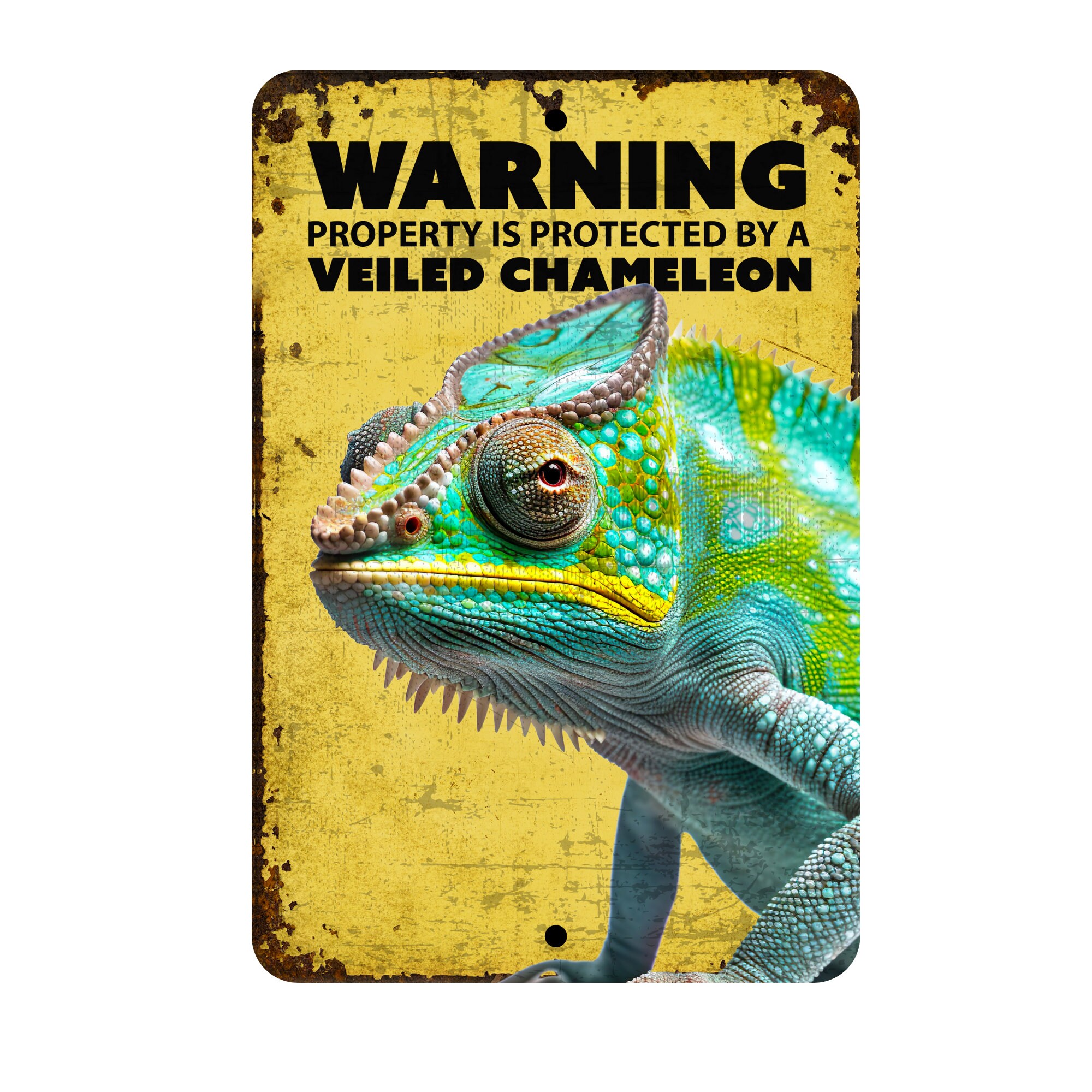 Veiled Chameleon Color Chart