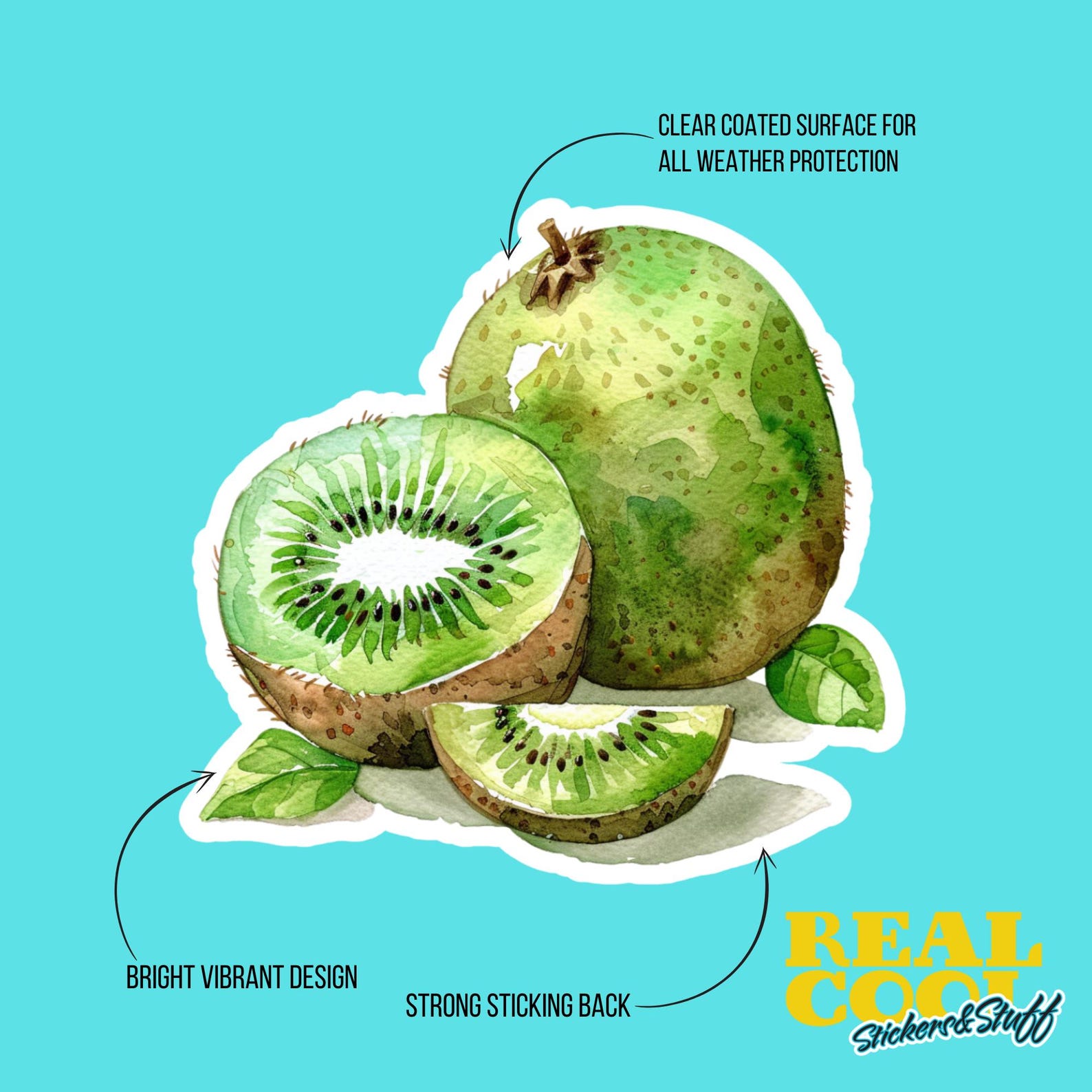 Kiwi Sticker - Watercolor Kiwi Decal for Laptops, Water Bottles ...
