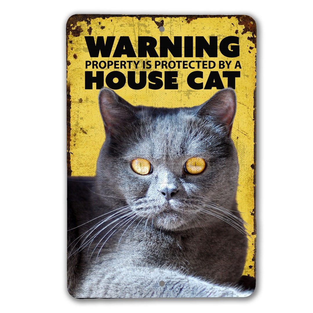 Warning House Cat Sign | Cat Warning Sign | House Cat Sign - Etsy