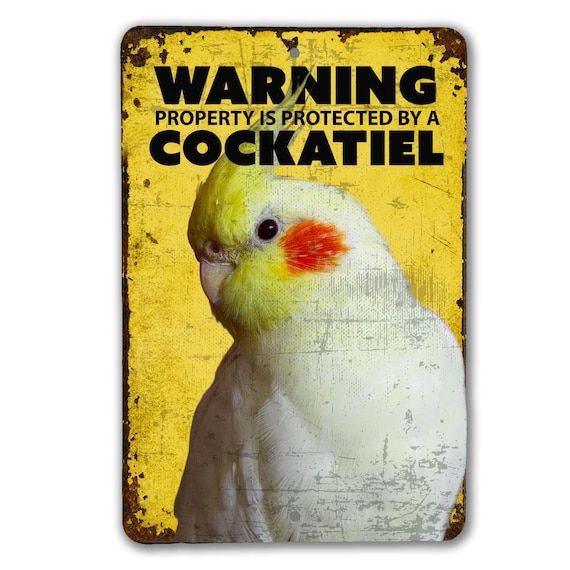 Warning Cockatiel Sign Parrot Warning Sign Cockatiel | Etsy