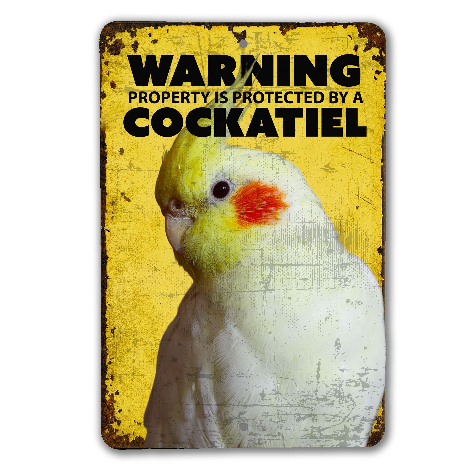 Warning Cockatiel Sign | Parrot Warning Sign | Yellow Cockatiel Sign - Etsy