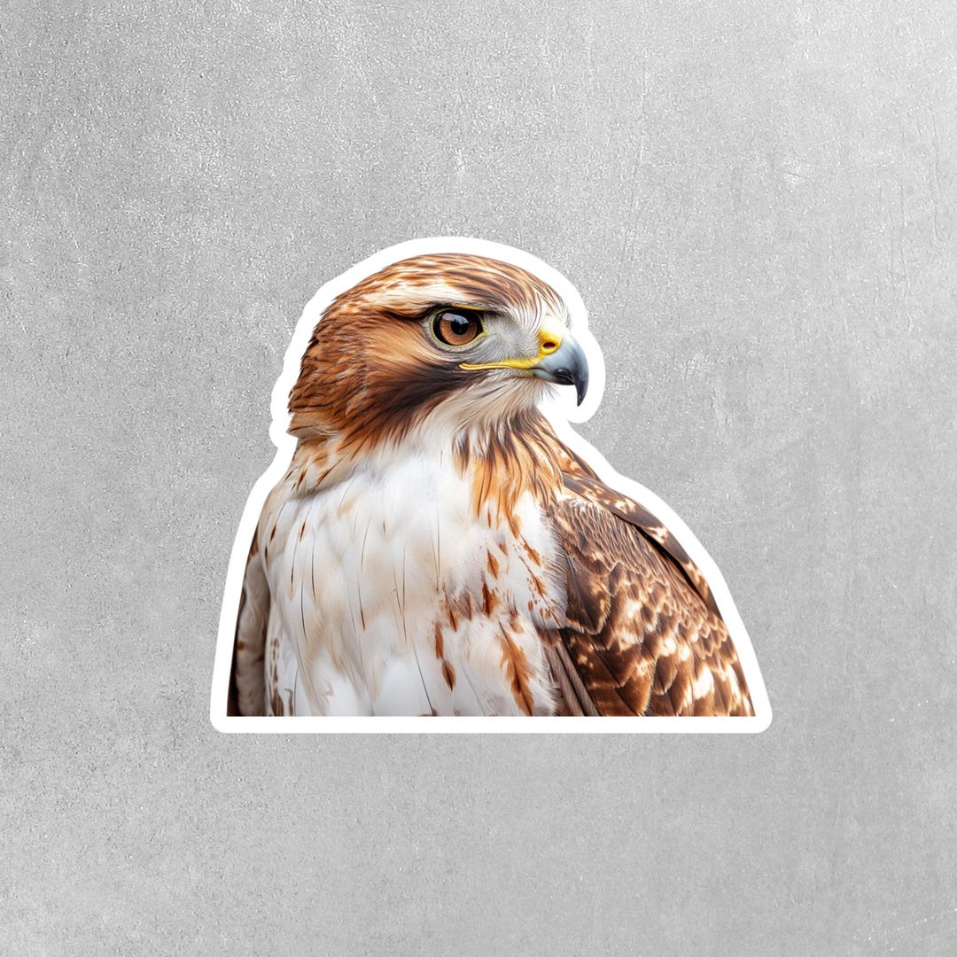Hawk Sticker Hawk Head Sticker Perfect Gift for Bird Watchers & Hawk ...