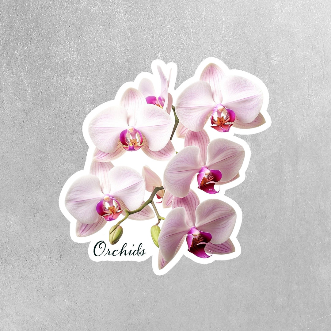 Orchids Sticker | Orchid Sticker | Flower Stickers - Etsy