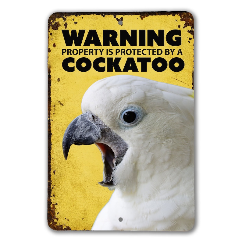 Warning Cockatoo Sign | Cockatoo Warning Sign | Cockatoo Parrot Sign - Etsy