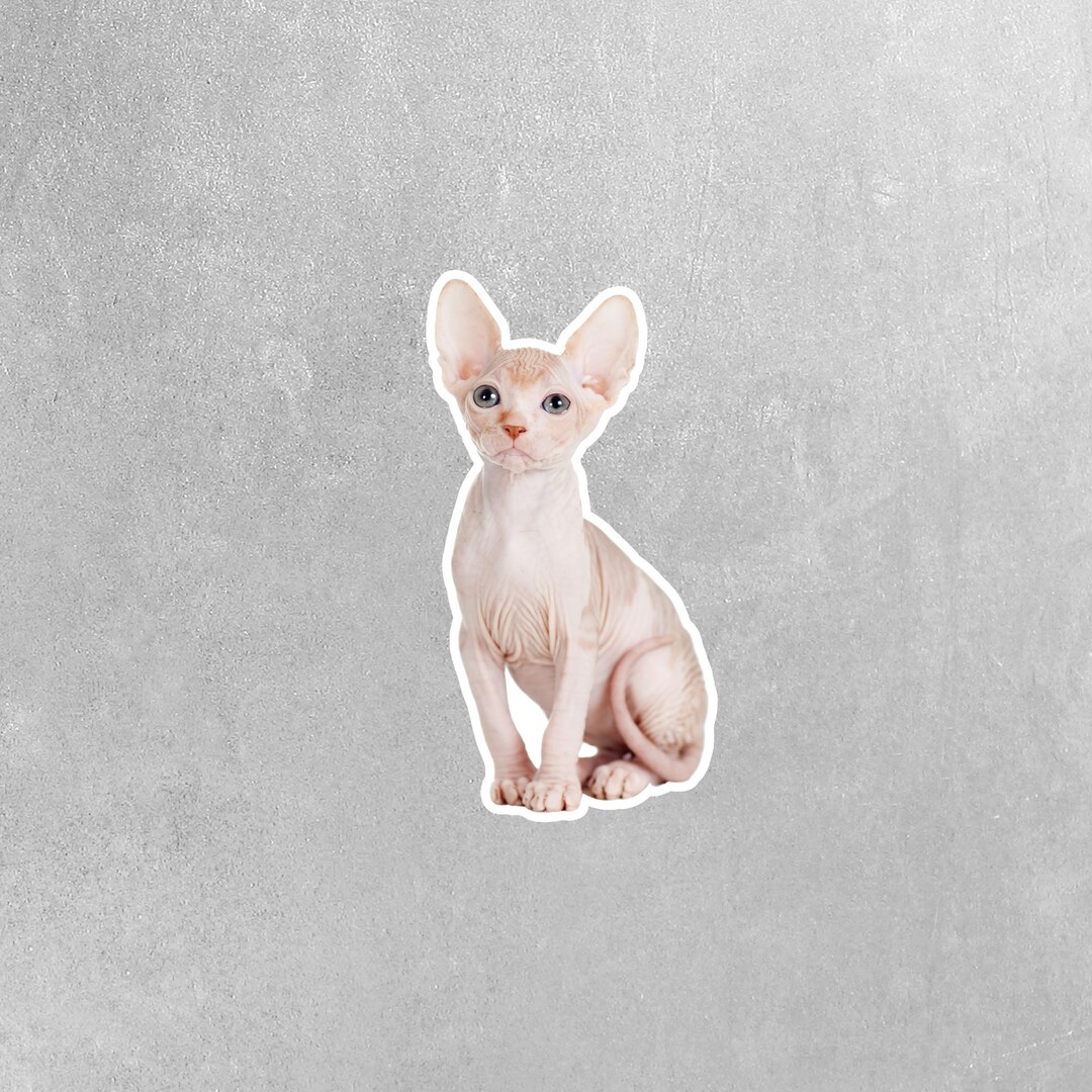 Sphynx Cat Sticker | Cat Sticker | Cat Decal | Hairless Cat Stickers - Etsy