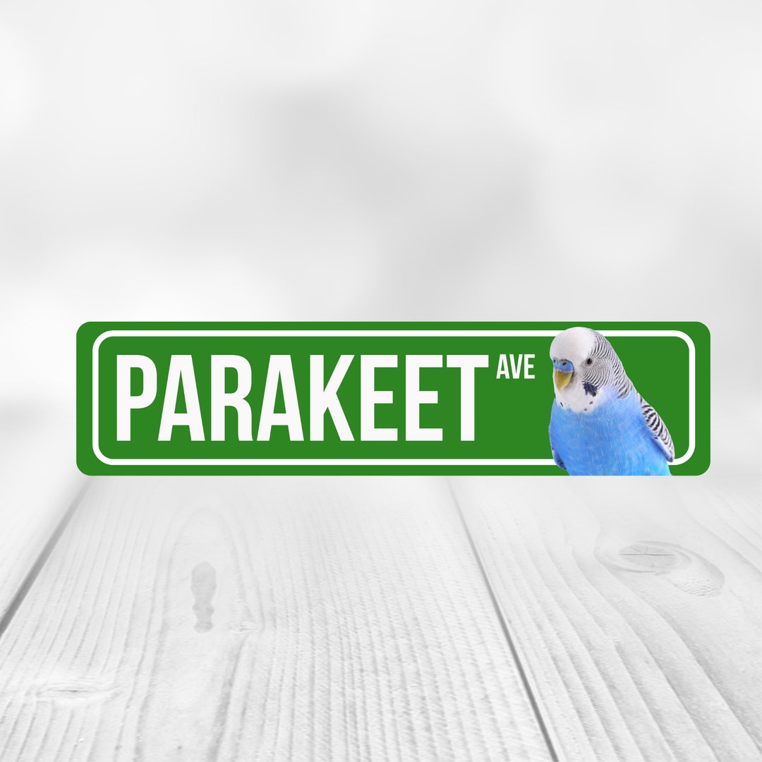 Parakeet Street Sign | Budgie Sign | Blue Parakeet Sign - Etsy