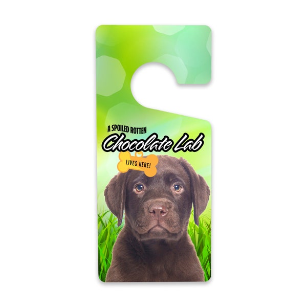 Lab Door Hanger - Etsy