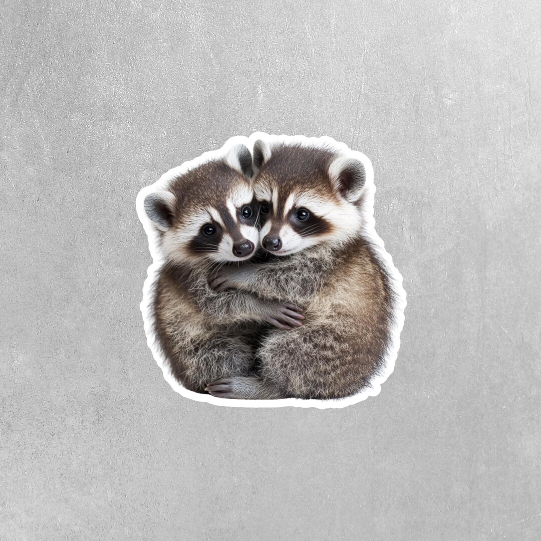 Hugging Racoons Sticker | Cute Racoons Decal for Laptop, Water Bottle ...
