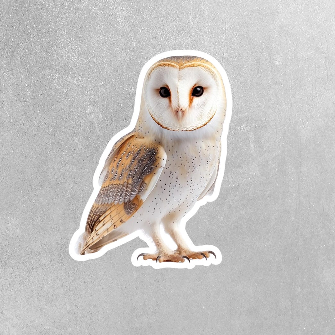 Barn Owl Sticker | Cute Wildlife Decal for Nature Lovers | Perfect Gift ...
