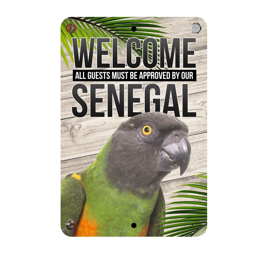 Senegal Parrot Welcome Sign | Senegal Parrot Sign - Etsy