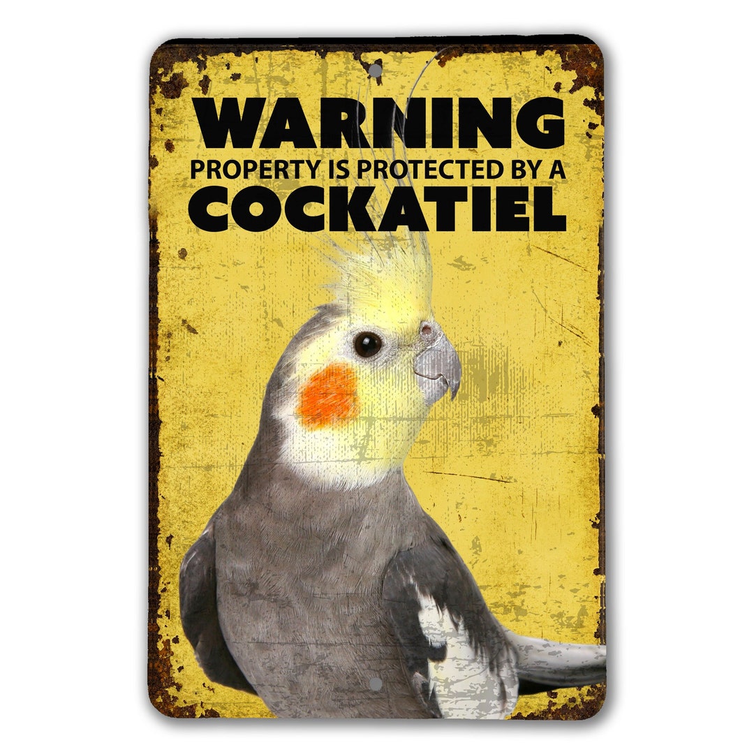 Warning Cockatiel Sign | Parrot Warning Sign | Cockatiel Parrot Sign - Etsy