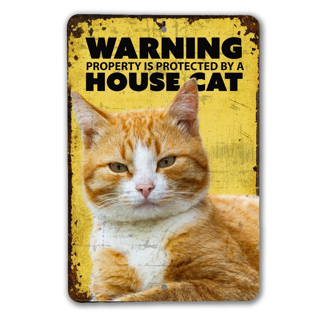 Warning House Cat Sign | Cat Warning Sign | House Cat Sign - Etsy