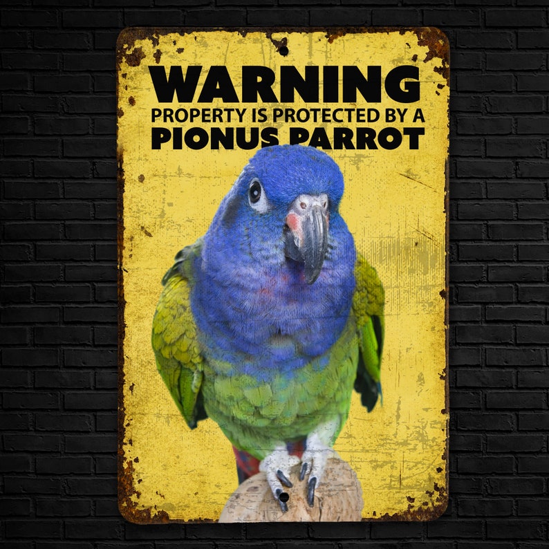 Warning Pionus Parrot Sign Pionus Parrot Warning Sign - Etsy