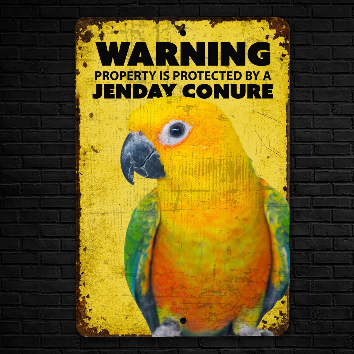 Warning Jenday Conure Sign Parrot Warning Sign Jenday | Etsy