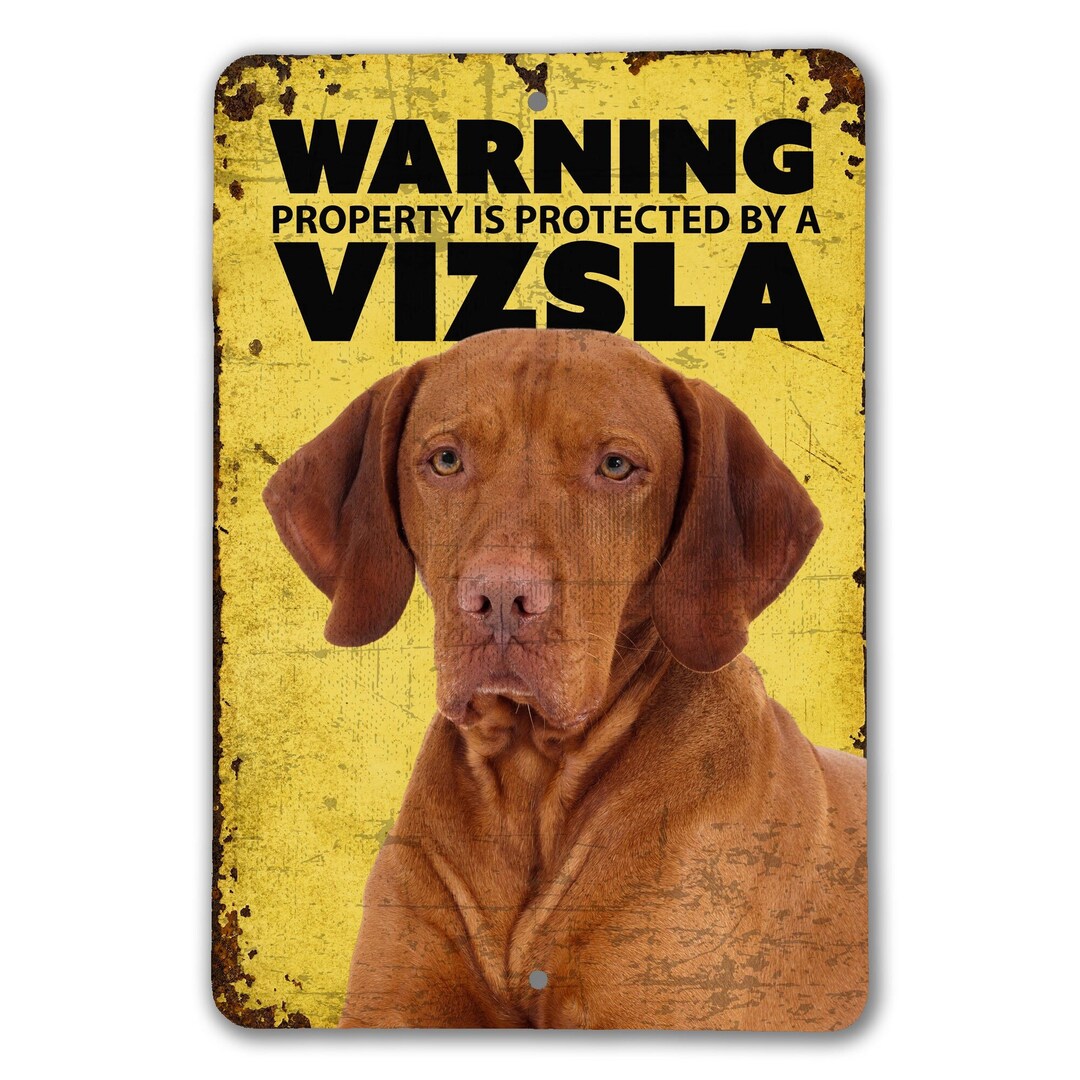 Warning Vizsla Sign | Dog Warning Sign | Vizsla Sign - Etsy
