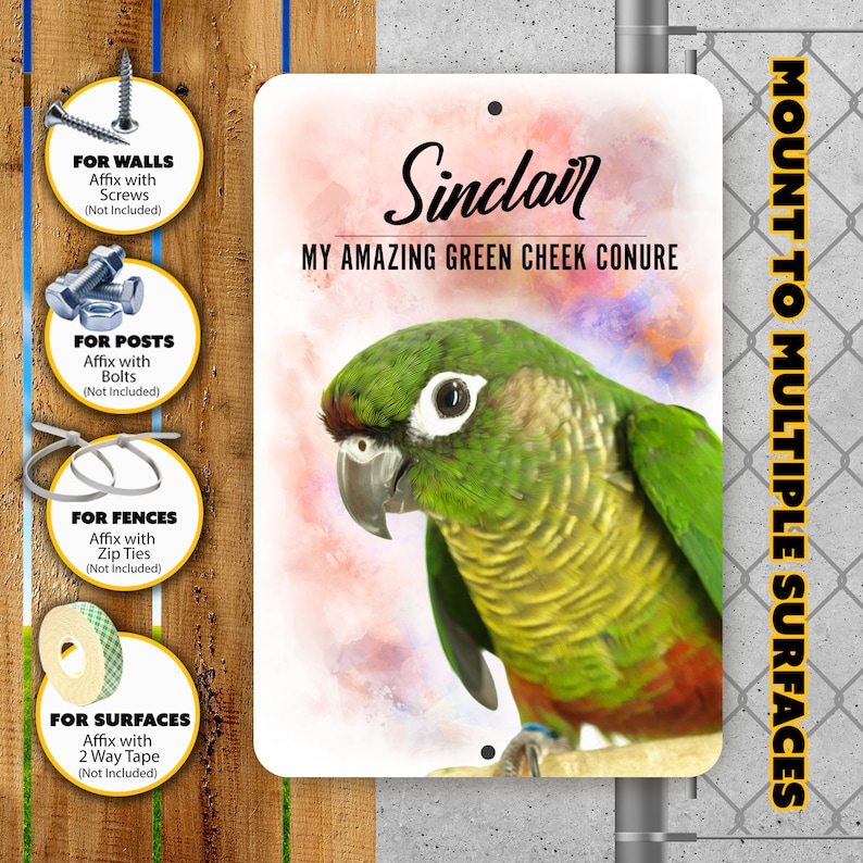 Personalized Green Cheek Conure Sign | Personalized Name Green Cheek ...