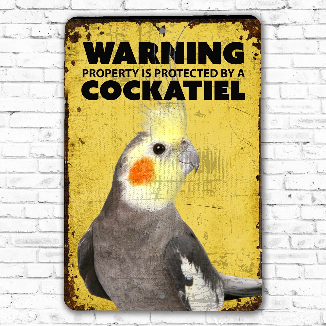 Warning Cockatiel Sign | Parrot Warning Sign | Cockatiel Parrot Sign - Etsy