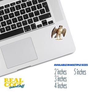 Hawk Sticker | Hawk Decal | Hawk - Etsy