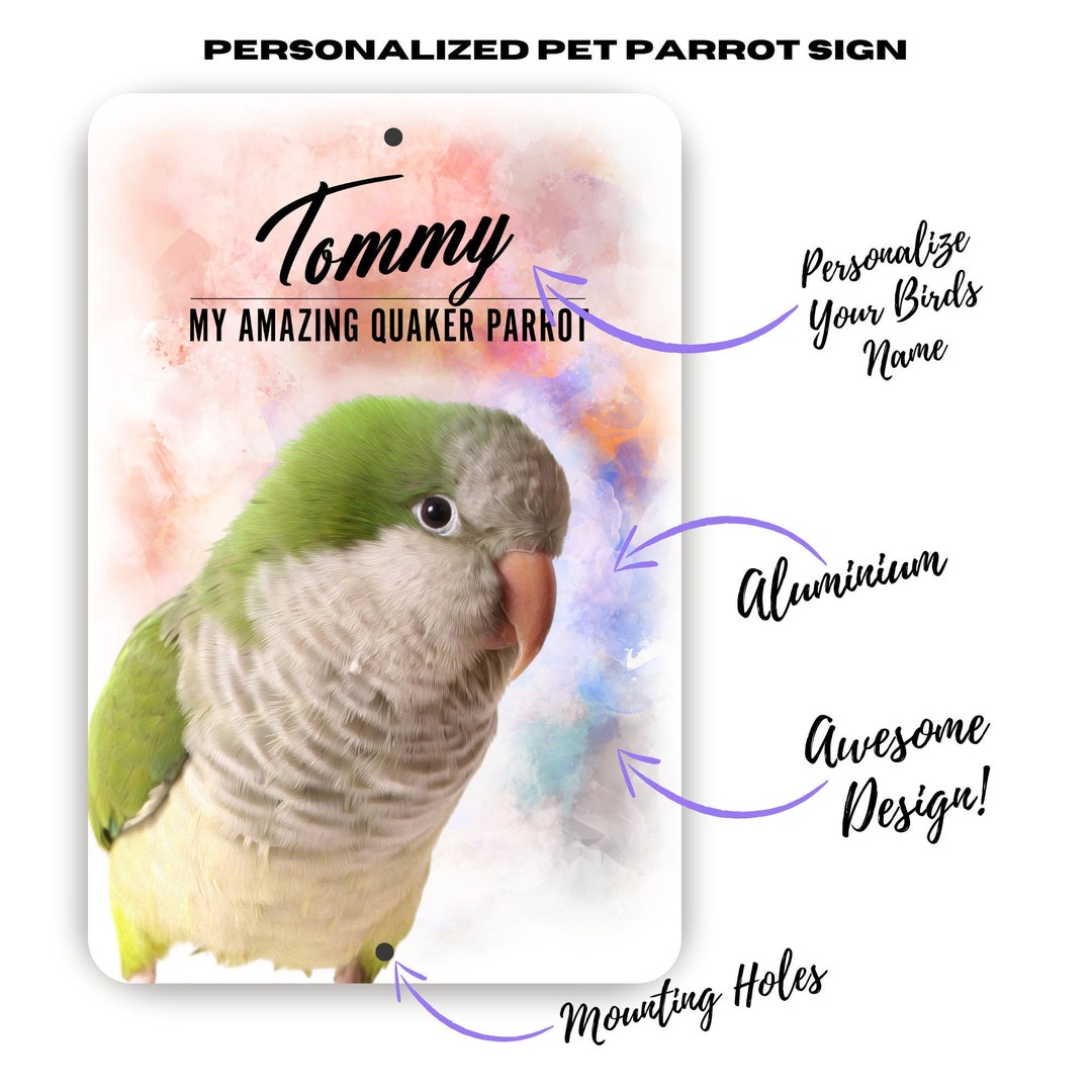 Personalized Green Quaker Sign | Personalized Name Green Quaker Sign - Etsy