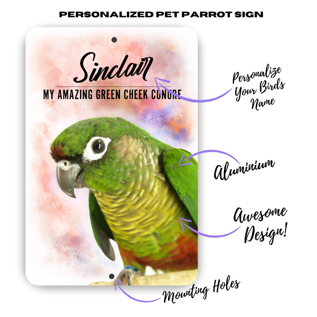 Personalized Green Cheek Conure Sign | Personalized Name Green Cheek ...