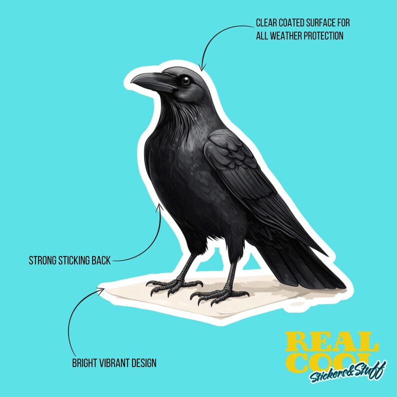 Crow Sticker | Unique Black Bird Vinyl Decal, Nature Lover Gift, Car ...