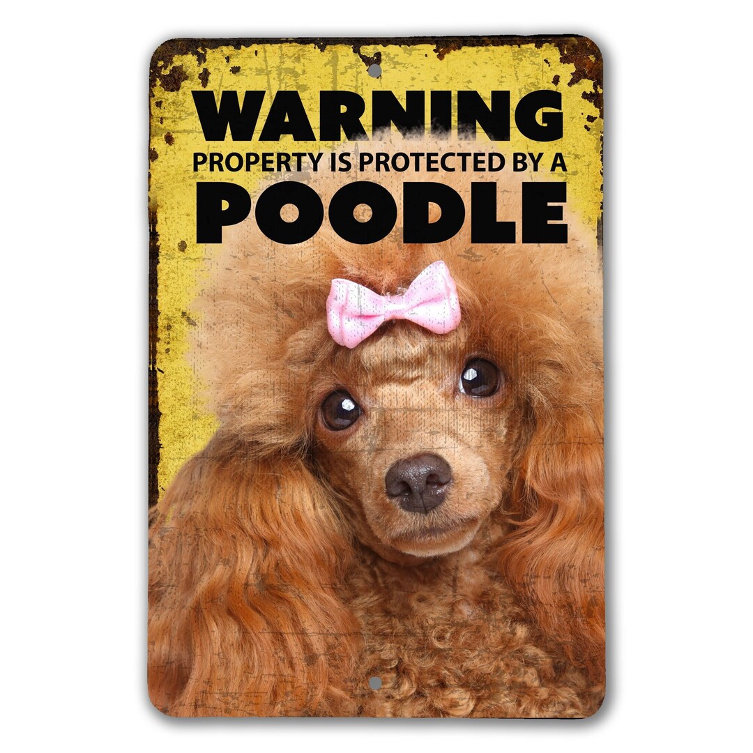 Warning Poodle Sign | Dog Warning Sign | Poodle Sign - Etsy