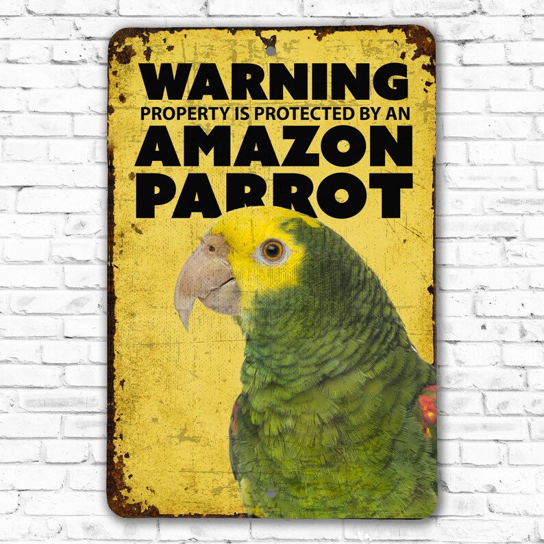 Warning Amazon Parrot Sign Amazon Parrot Warning Sign | Etsy