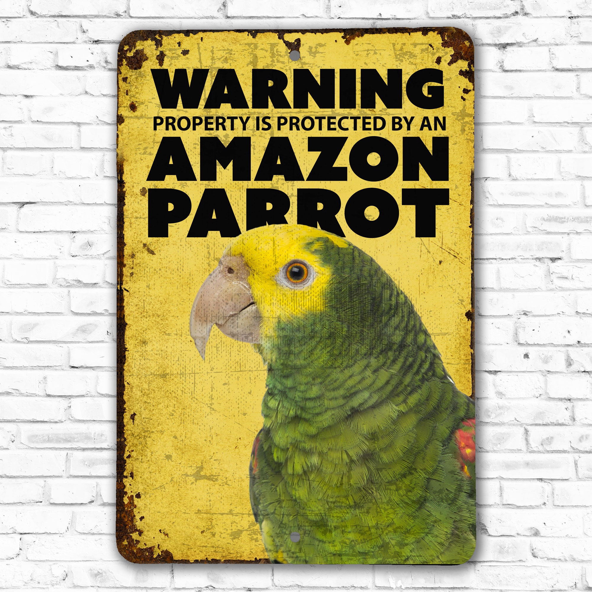 Warning Amazon Parrot Sign Amazon Parrot Warning Sign - Etsy