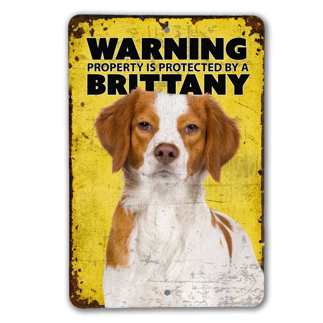 Warning Brittany Sign | Dog Warning Sign | Brittany Sign - Etsy
