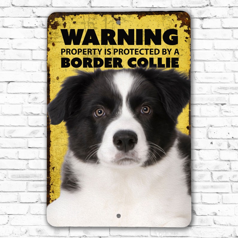 Warning Border Collie Sign Dog Warning Sign Border Collie - Etsy