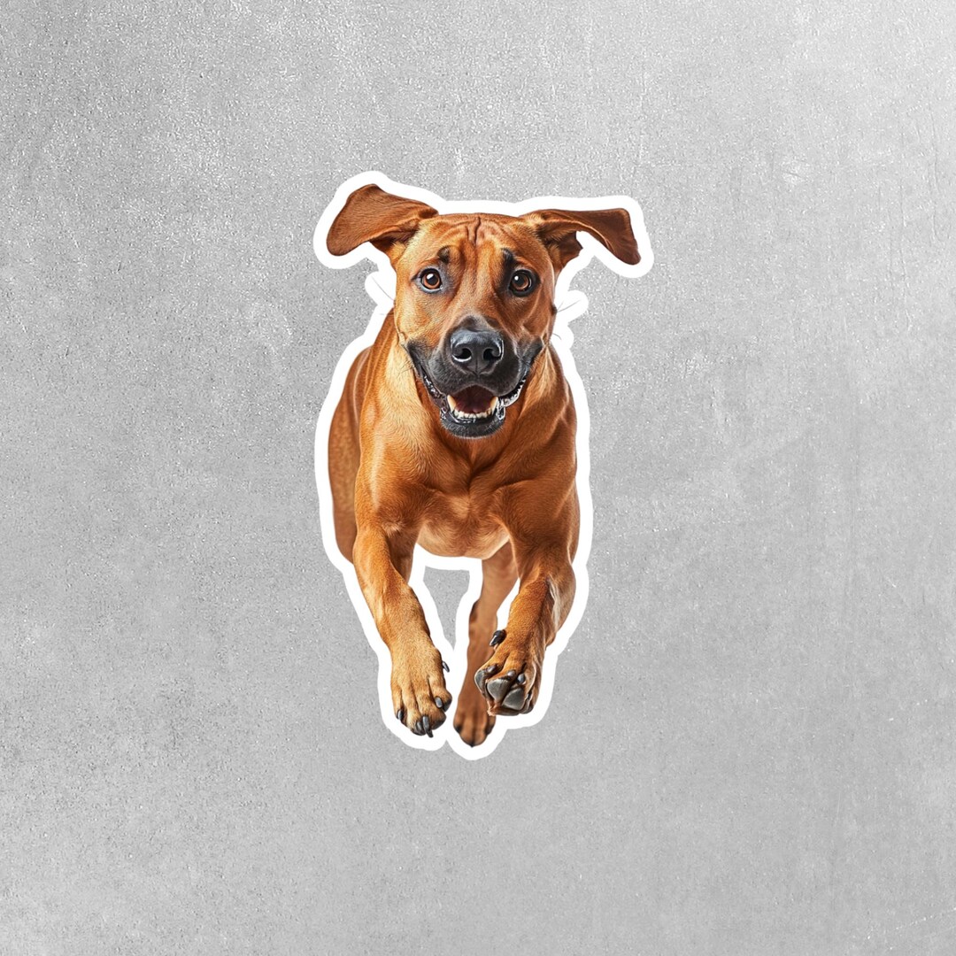 Running Rhodesian Ridgeback - Vinyl Dog Decal, Cute Rhodesian Ridgeback ...