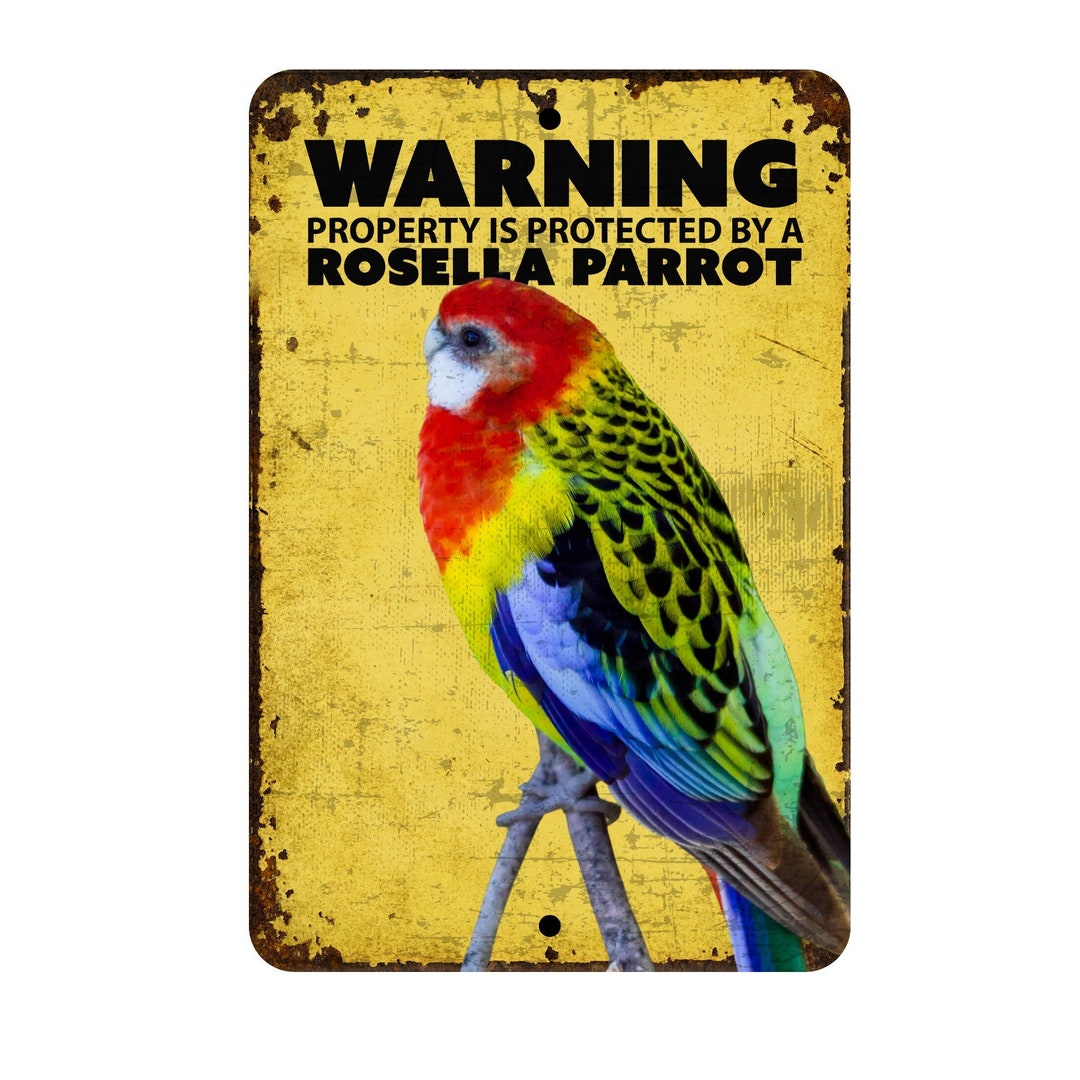 Rosella Parrot Warning Sign | Rosella Parrot Sign | Rosella Parrot - Etsy