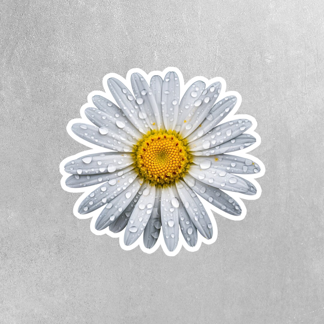Daisy Sticker | Flower Stickers | Wet Daisy Sticker - Etsy