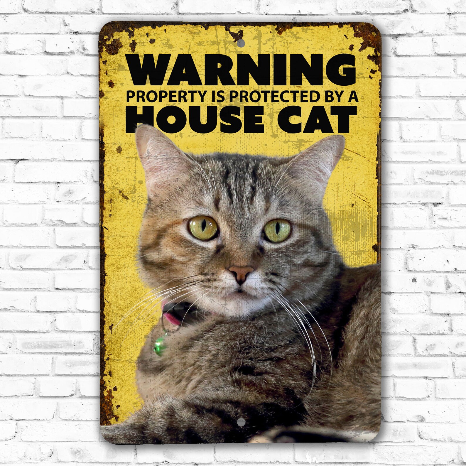 Warning House Cat Sign Cat Warning Sign House Cat Sign - Etsy