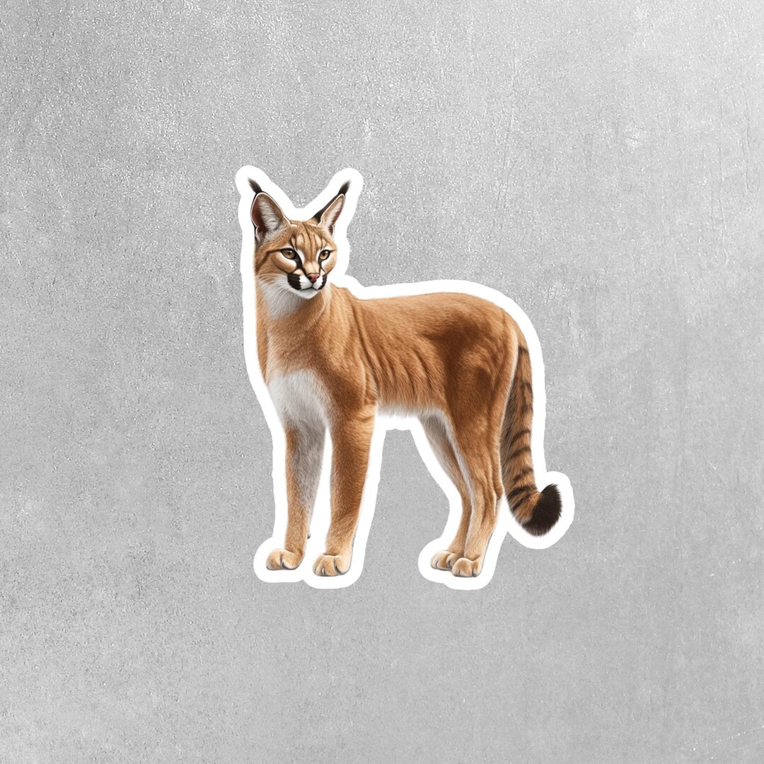 Caracal Sticker – Cute Wild Cat Vinyl Decal for Laptop, Water Bottle ...