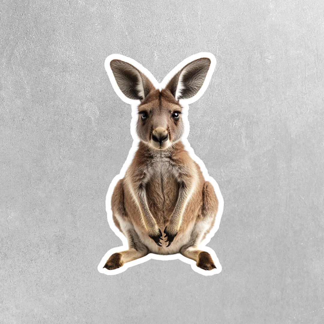 Kangaroo Sticker | Cute Animal Decal for Car, Laptop & Scrapbook ...