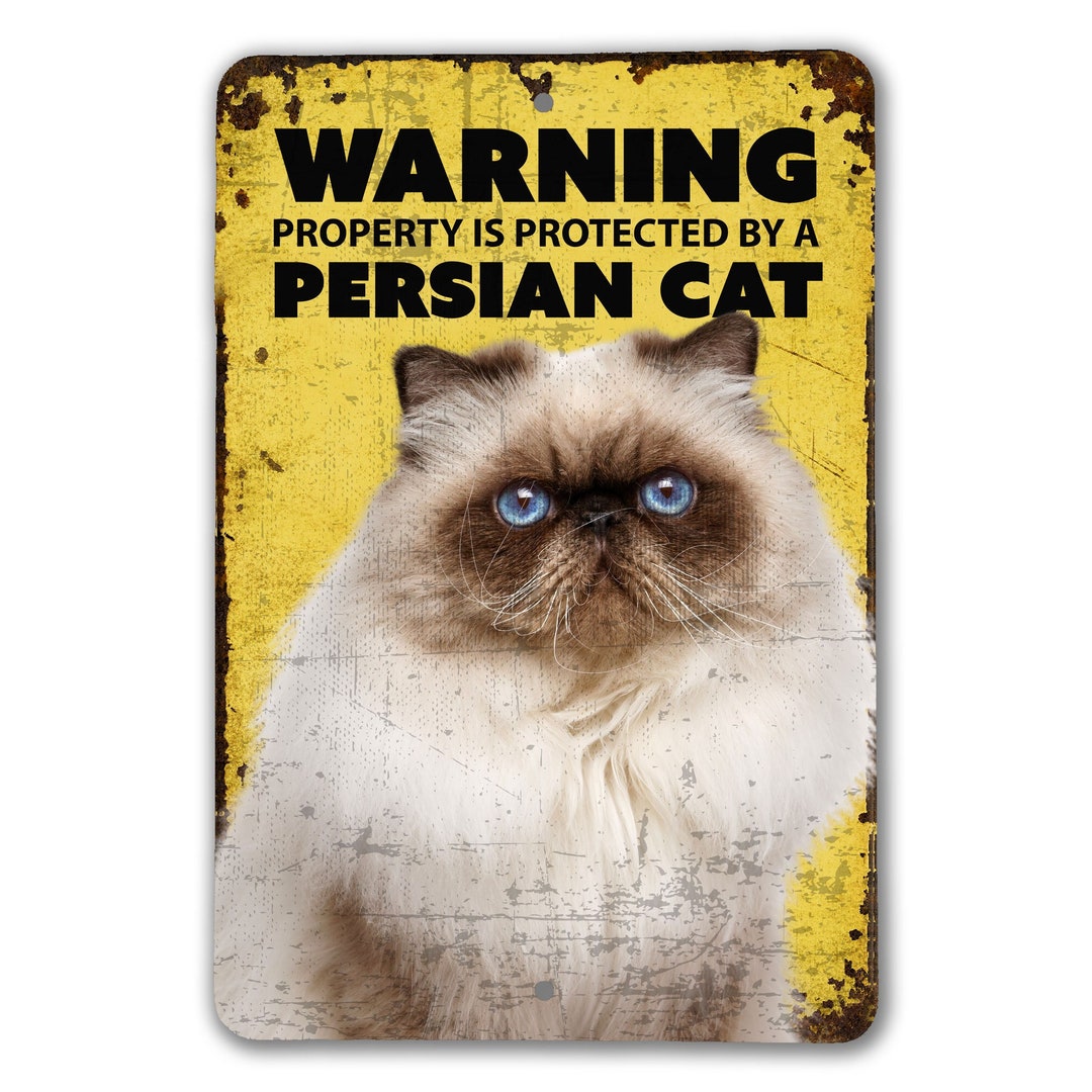 Warning Persian Cat Sign | Cat Warning Sign | Persian Cat Sign - Etsy