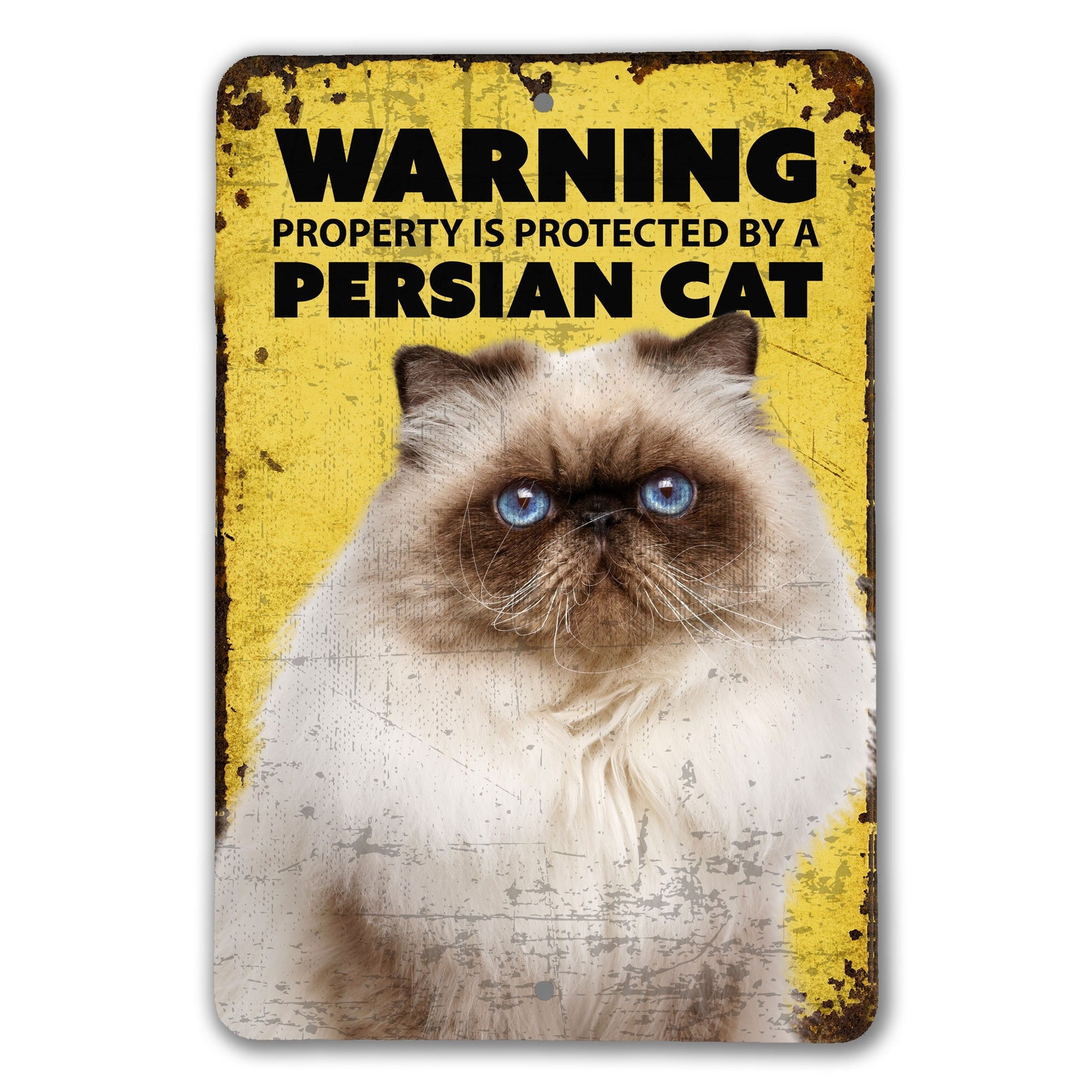 Warning Persian Cat Sign Cat Warning Sign Persian Cat Sign | Etsy