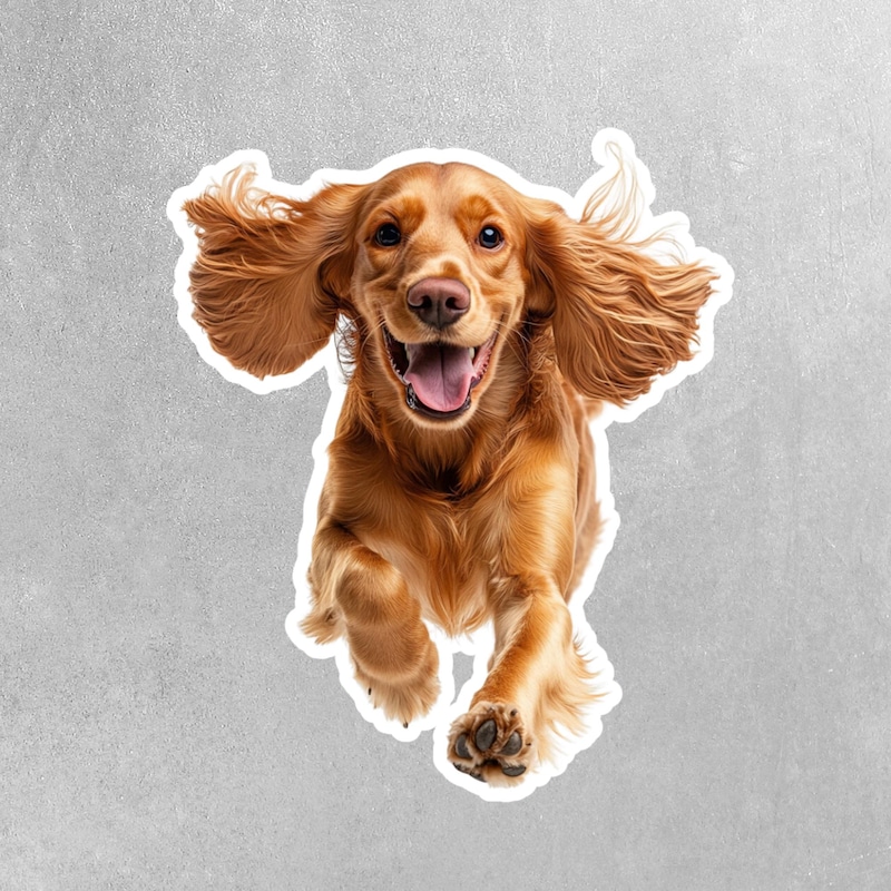 Cocker Spaniel Decal - Etsy