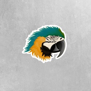 Macaw Sticker | Parrot Stickers | Macaw Decal - Etsy