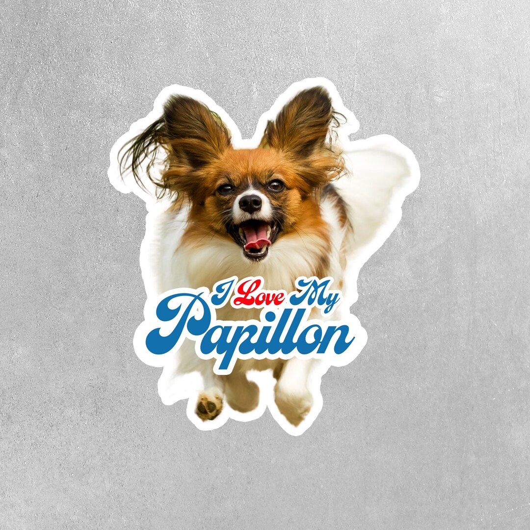 Papillon Sticker | Papillon Decal | Papillon Dog - Etsy